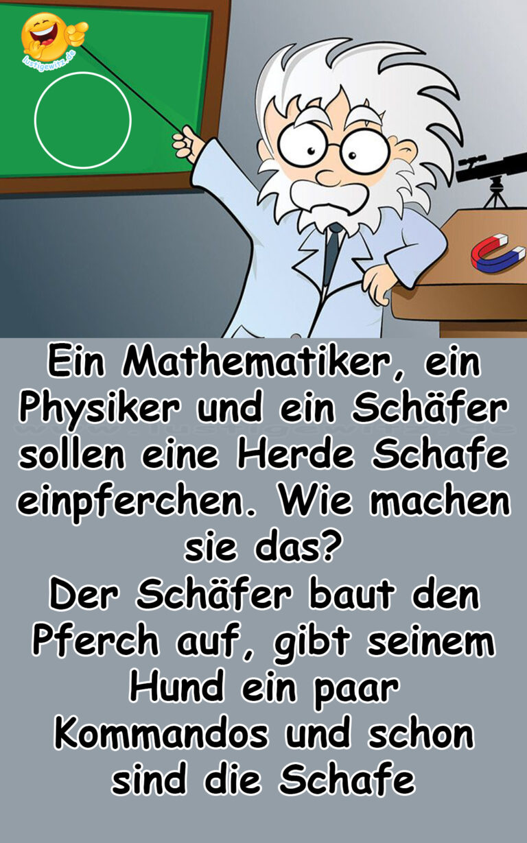 Wie machen sie das? – Lustige Witze